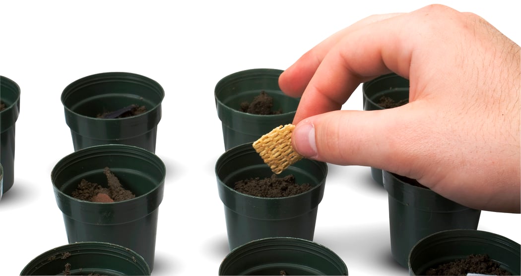 Decomposition Experiment | Lab-Aids