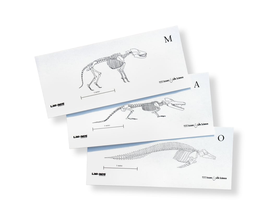 Evolution: Examining Fossil and DNA Evidence | Lab-Aids