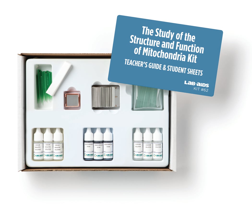 The Study of the Structure and Function of Mitochondria Kit | Lab-Aids