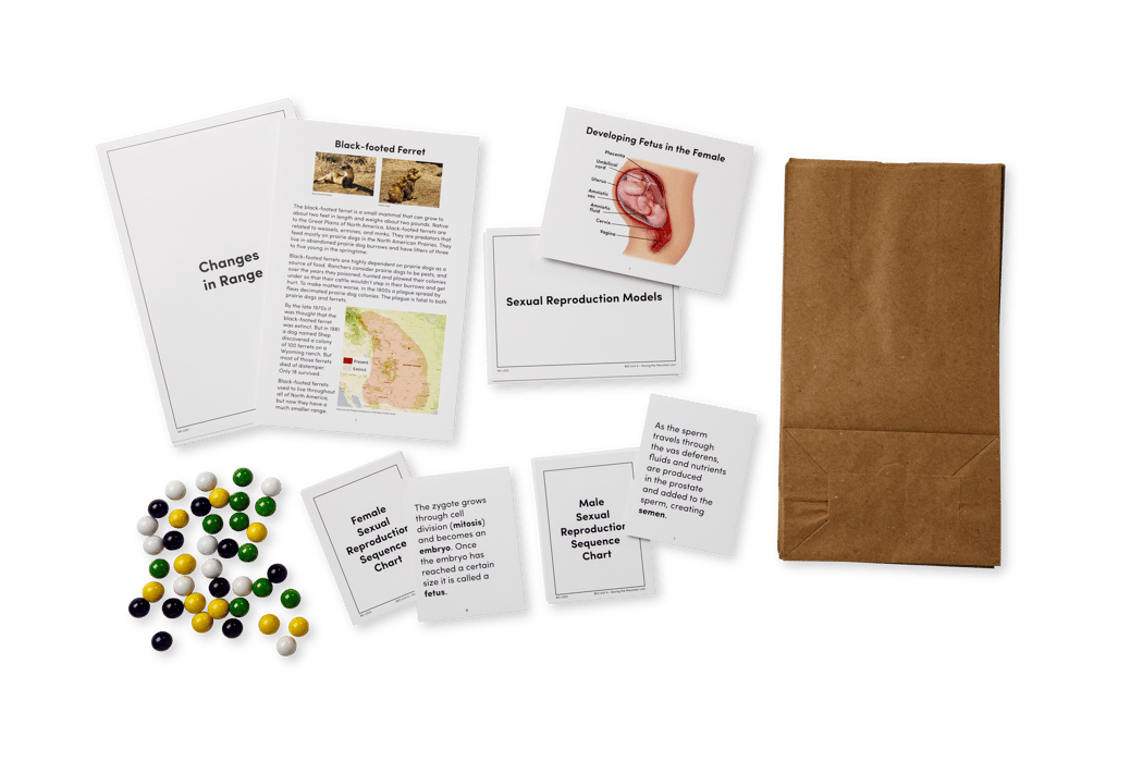 New Visions Saving the Mountain Lion Equipment Package | Lab-Aids