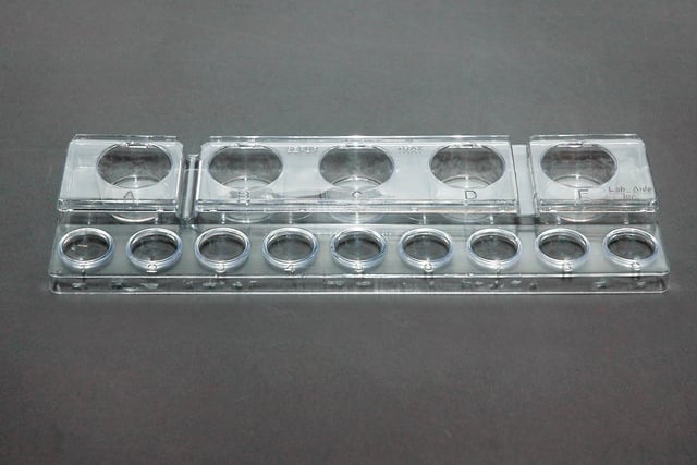 SEPUP Tray | Lab-Aids