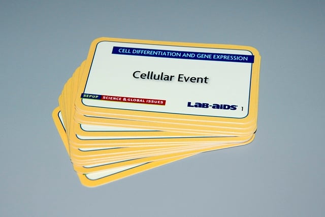 Cellular Event cards, set of 14 | Lab-Aids