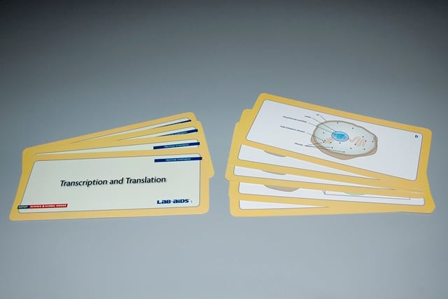 Transcription and Translation cards, set of 10 | Lab-Aids