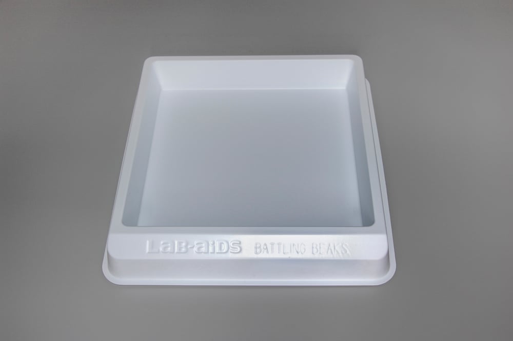 Battling Beaks Tray, Lab-Aids© "Signature" Item | Lab-Aids