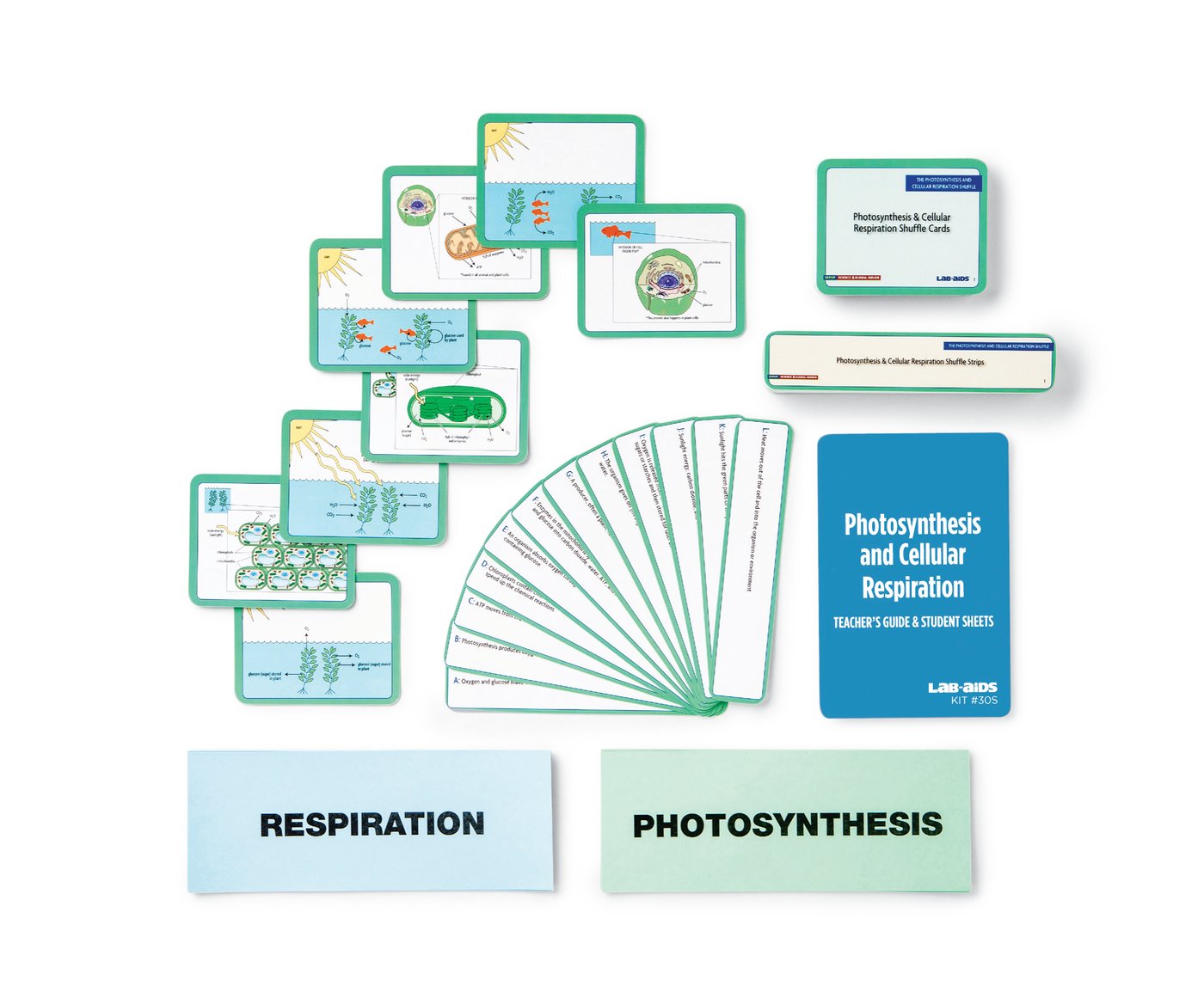Photosynthesis and Cellular Respiration | Lab-Aids