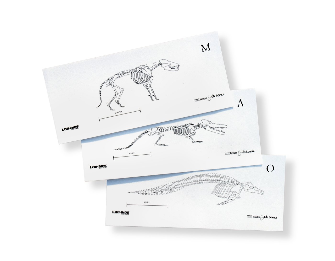 Evolution: Examining Fossil and DNA Evidence | Lab-Aids