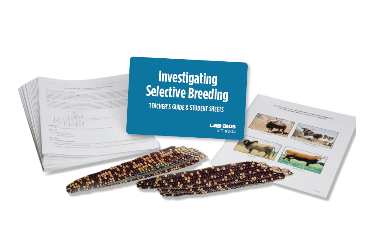 Investigating Selective Breeding | Lab-Aids