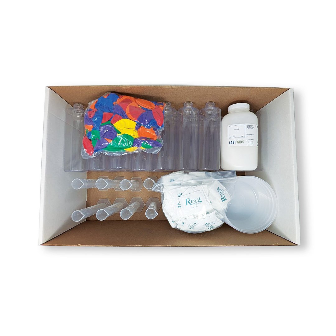 Marathon Runner | Lab-Aids