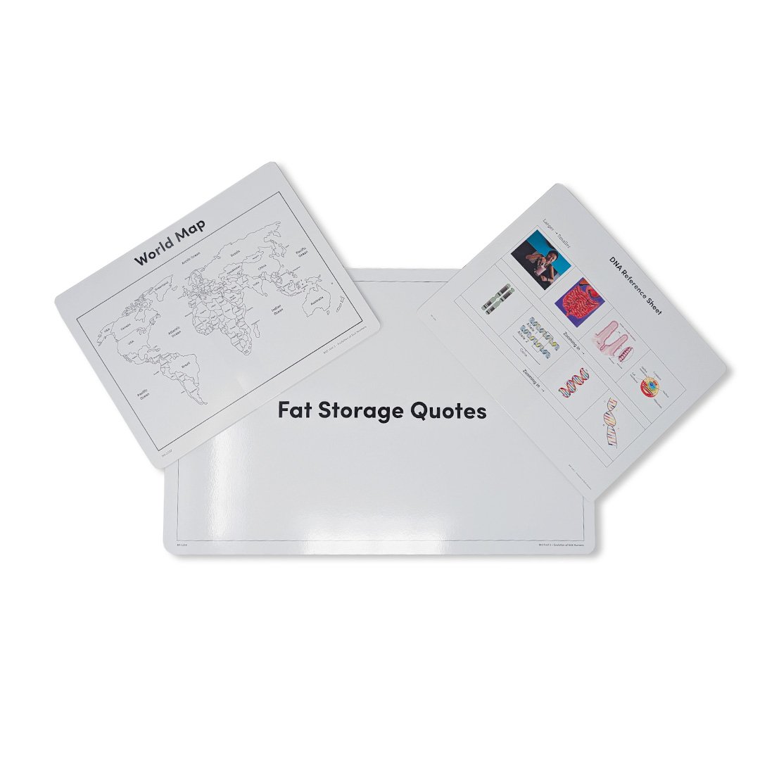 Evolution of Sick Humans | Lab-Aids