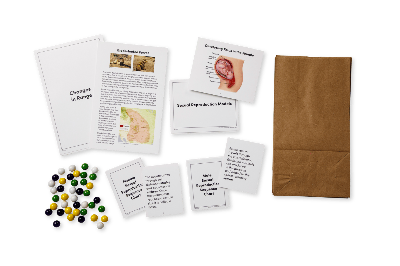 New Visions Saving the Mountain Lion Equipment Package | Lab-Aids