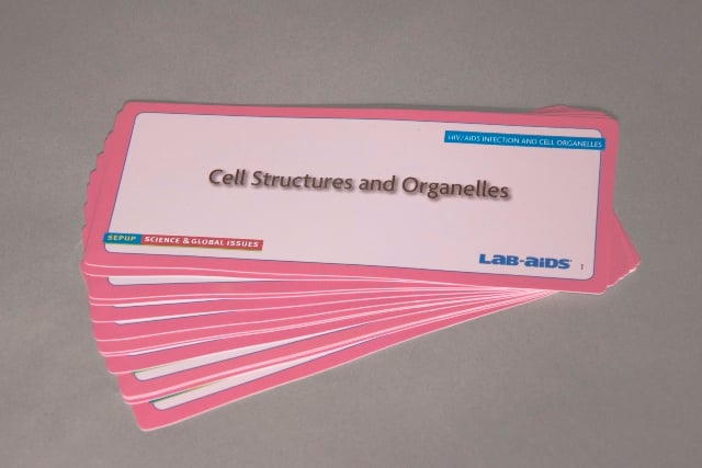 Cell Structures And Organelles Cards, Set Of 13 | Lab-Aids