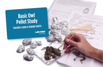 Ecological Succession | Lab-Aids