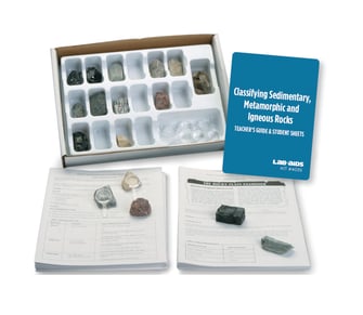 Introduction to Dichotomous Classification Keys | Lab-Aids