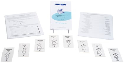 Concepts of Classification | Lab-Aids