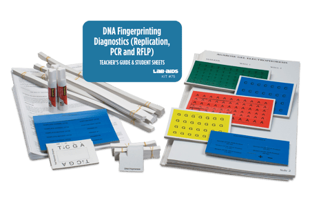 DNA Fingerprinting Diagnostics (Replication, PCR and RFLP) | Lab-Aids