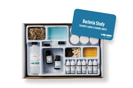 Bacteria Study | Lab-Aids