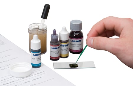 Bacteria Study | Lab-Aids