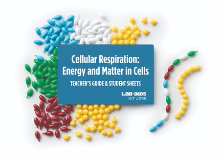 Cellular Respiration: Energy and Matter in Cells | Lab-Aids