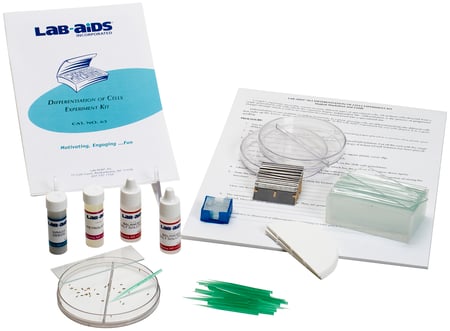 Differentiation of Cells Experiment Kit | Lab-Aids