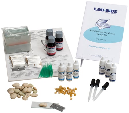 Seed Structure & Enzyme Action | Lab-Aids
