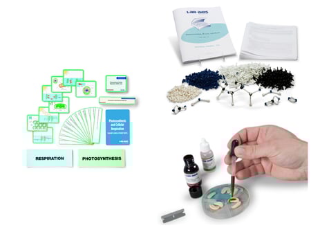 Plant Science Bundle 1 | Lab-Aids