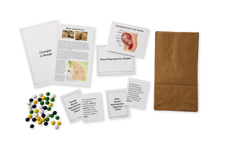 New Visions Saving the Mountain Lion Equipment Package | Lab-Aids