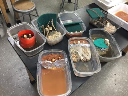 Engineering and Design: Reducing Shoreline Erosion | Lab-Aids