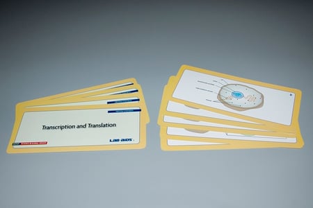 Transcription and Translation cards, set of 10 | Lab-Aids
