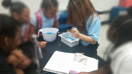 Making and Interpreting Topographic Maps | Lab-Aids