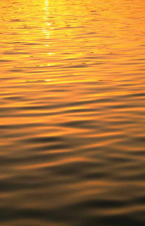 EDC: Earth Science | NGSS | Lab-Aids