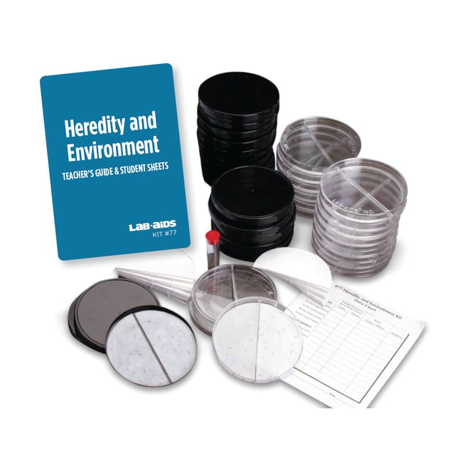 Human Genetic Traits Investigation | Lab-Aids