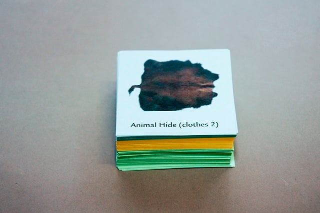 Provision Note Cards | Lab-Aids