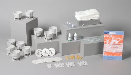 Nematode Study REFRESH-A-KIT | Lab-Aids