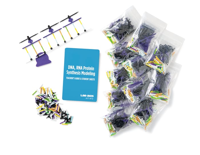 DNA, RNA, & Protein Synthesis Modeling | Lab-Aids