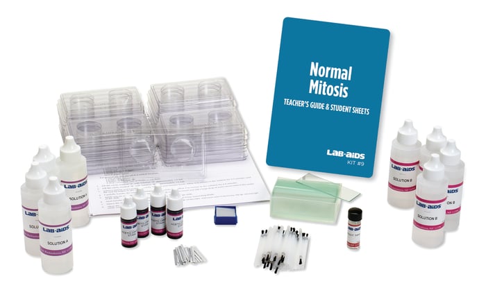 Observing Mitosis | Lab-Aids