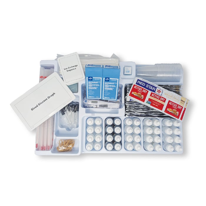 Marathon Runner | Lab-Aids