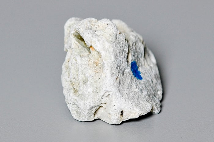 Fossiliferous Limestone Hand Sample | Lab-Aids