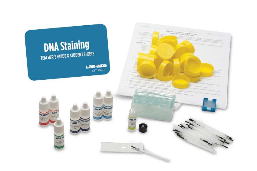 Observing Mitosis | Lab-Aids