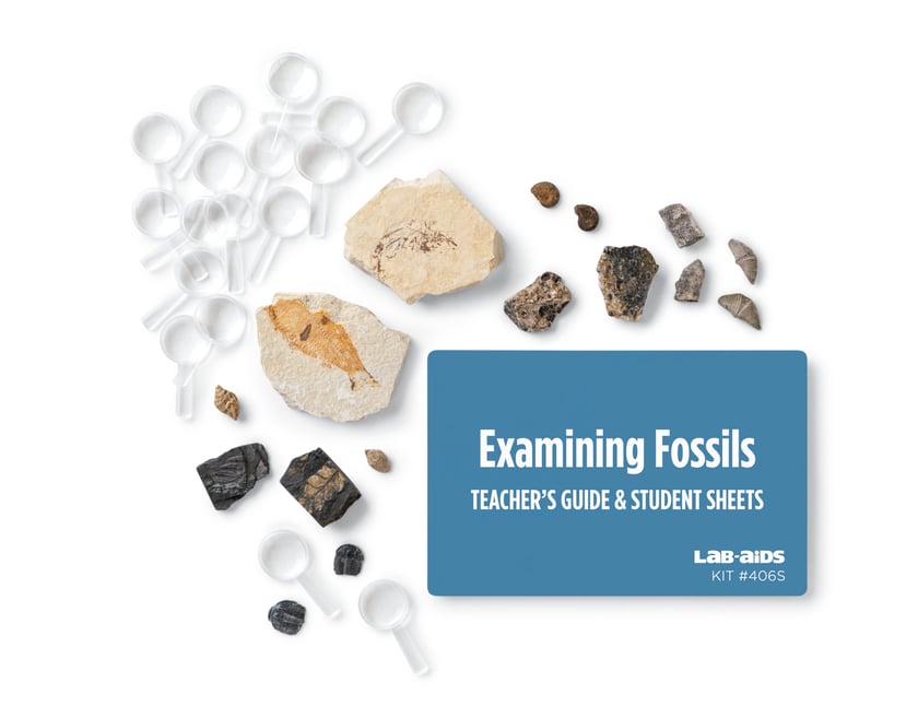 Identifying Sedimentary, Metamorphic, and Igneous Rocks | Lab-Aids