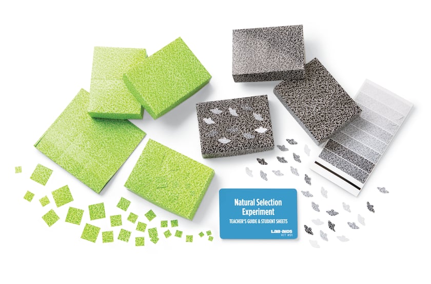 Ecological Succession | Lab-Aids